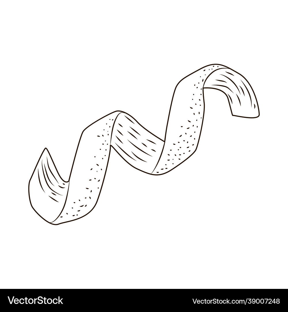 Orange peel in engraved style isolated on white Vector Image