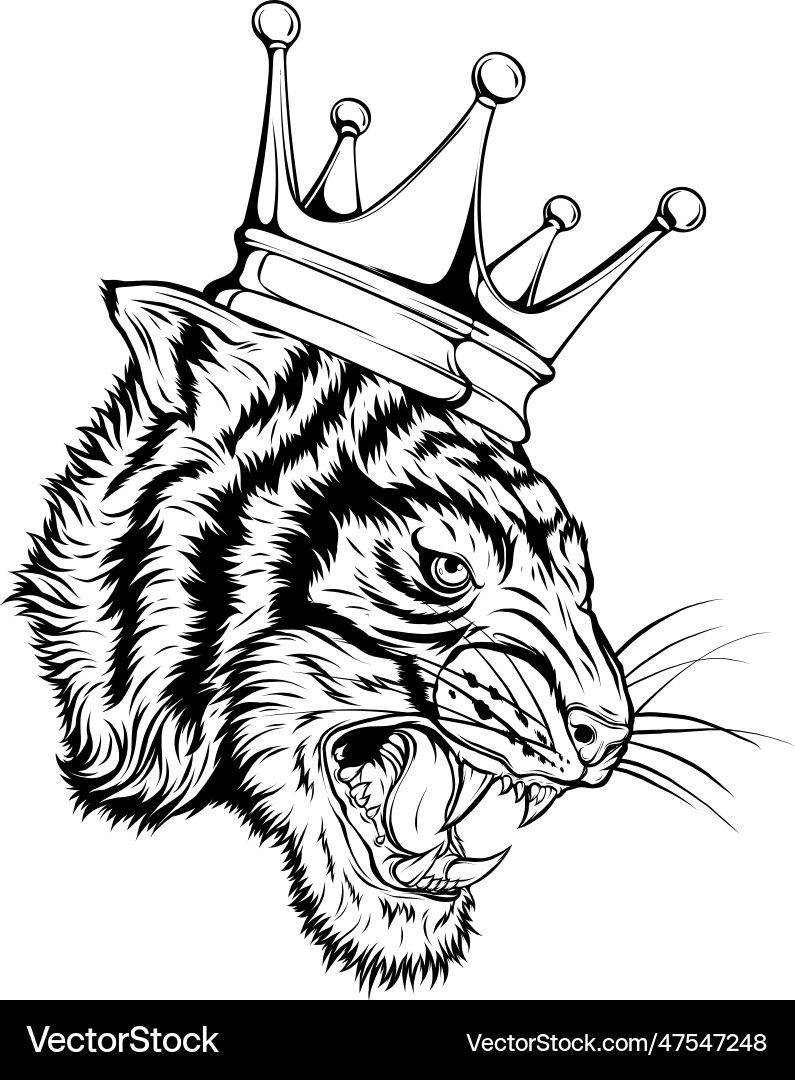 Outline of tiger head design Royalty Free Vector Image