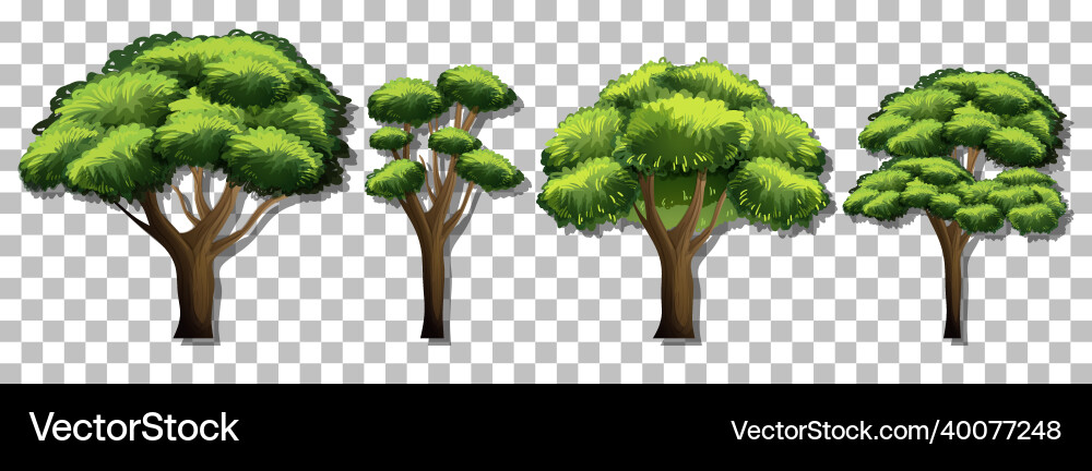 Set of various trees on transparent background Vector Image