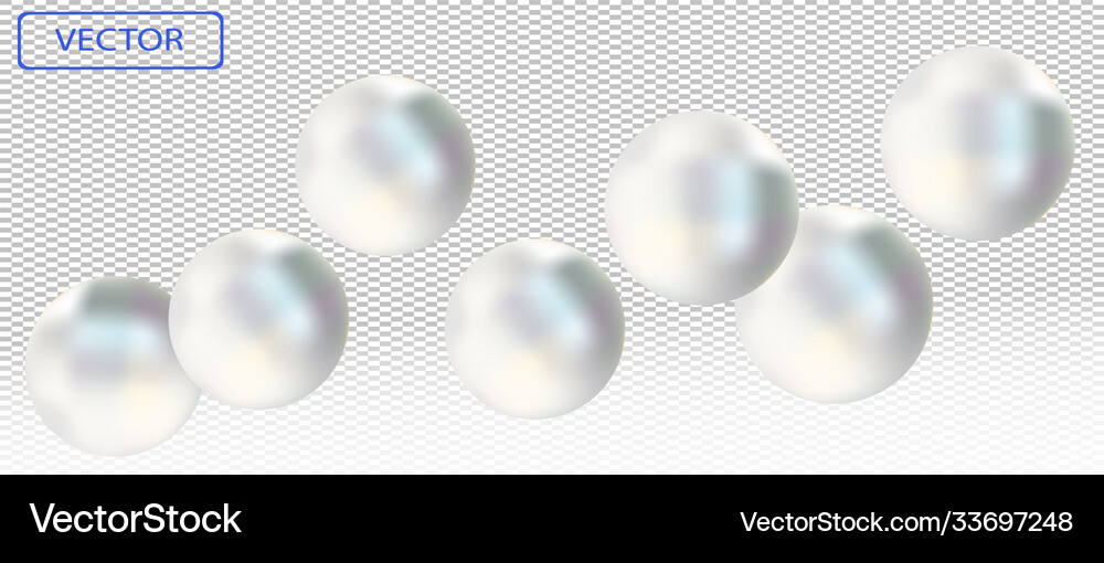 Shiny white sea pearl on transparent background Vector Image