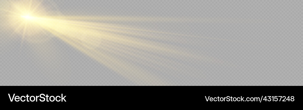 Sunlight yellow sun glare rays lens flare bokeh Vector Image