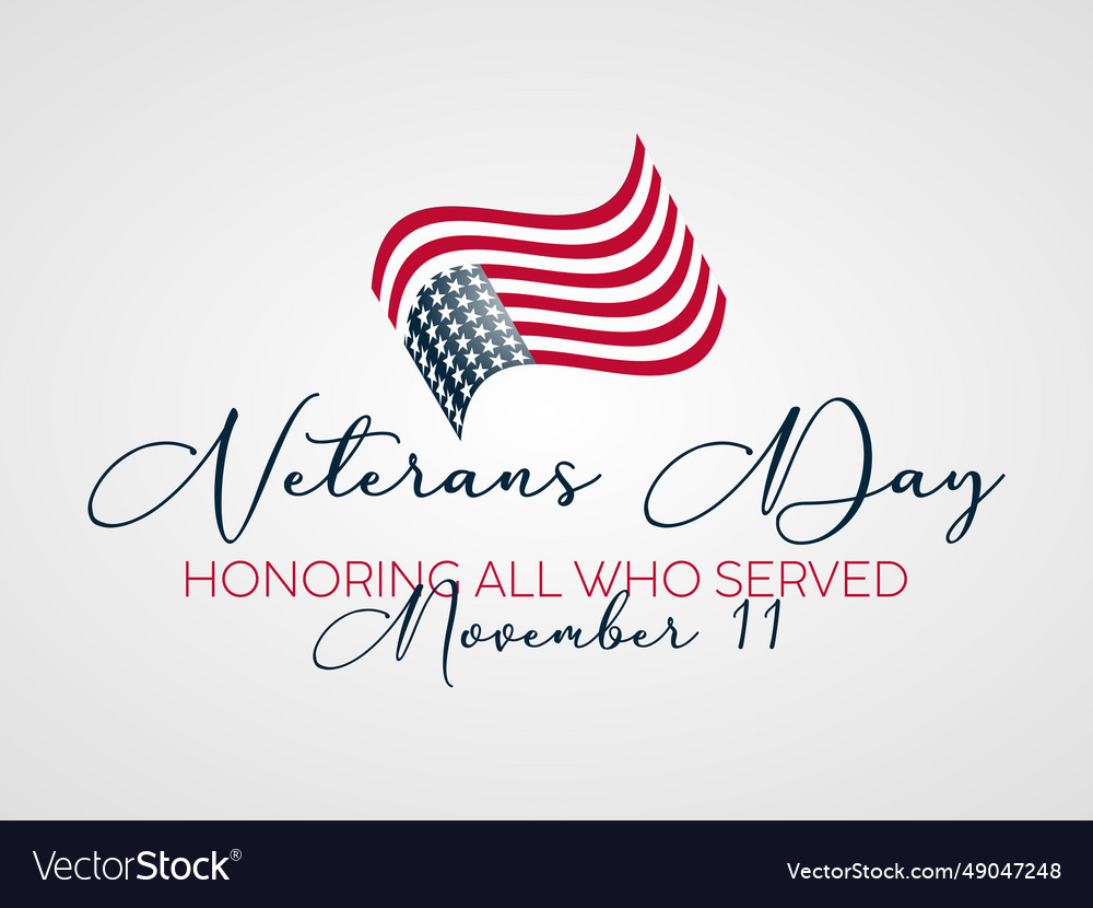 Veterans day tribute with american flag saluting Vector Image