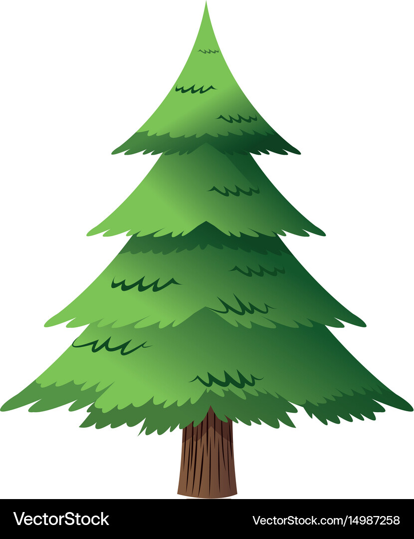 Christmas pine tree celebration party decoration Vector Image