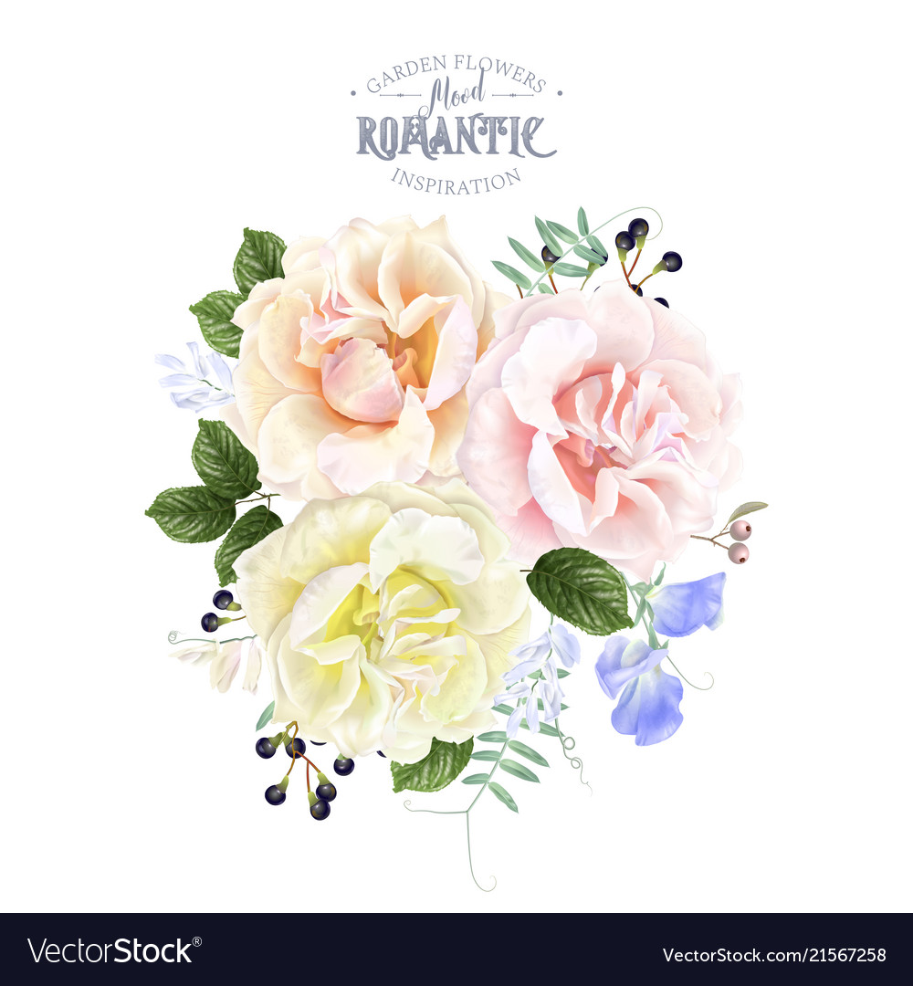 Rose composition Royalty Free Vector Image - VectorStock