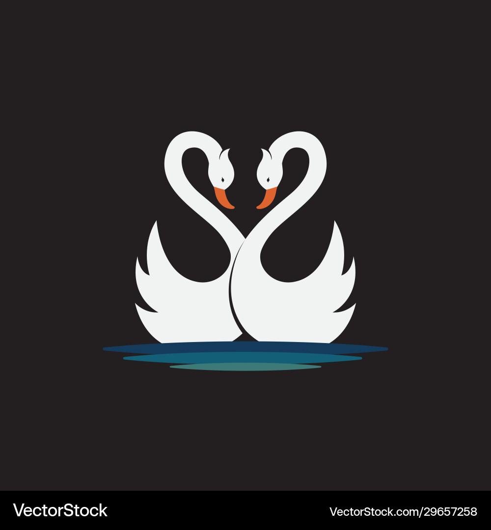 Two white swan design on black background wild Vector Image