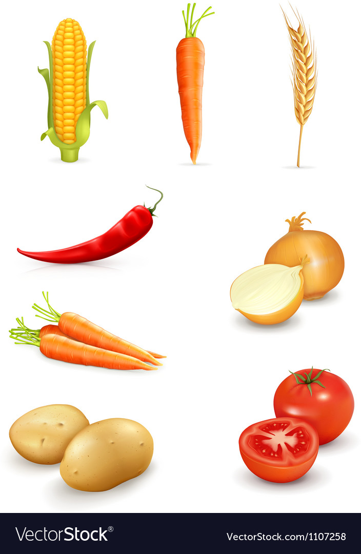 Vegetables Royalty Free Vector Image - VectorStock