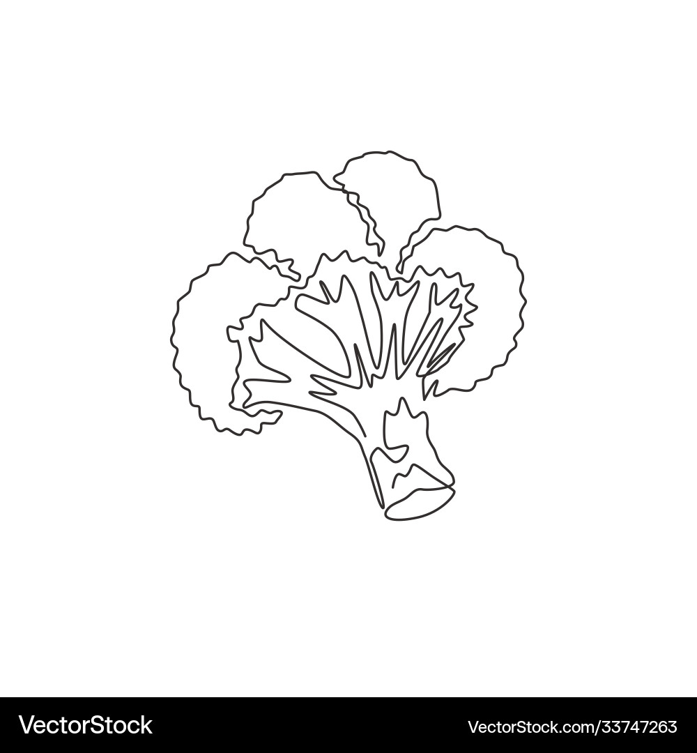 One single line drawing whole healthy organic Vector Image