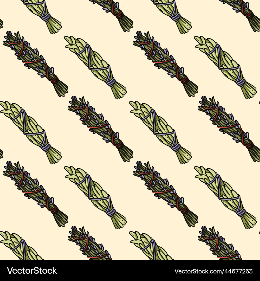 Sage smudge sticks hand-drawn boho seamless Vector Image