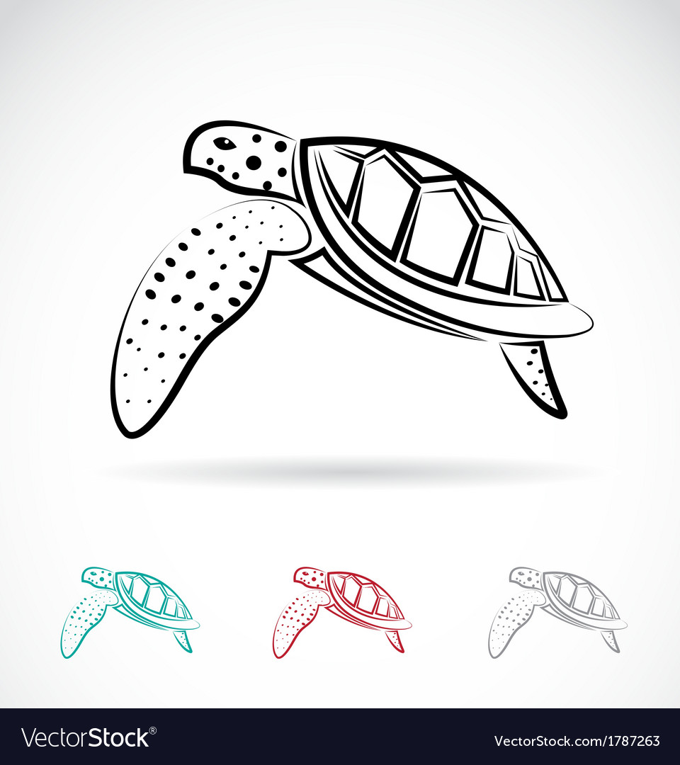Turtle Royalty Free Vector Image - VectorStock
