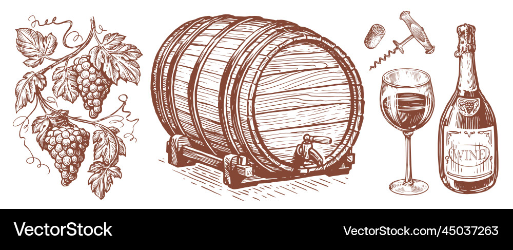 Wine set viticulture concept collection of hand Vector Image
