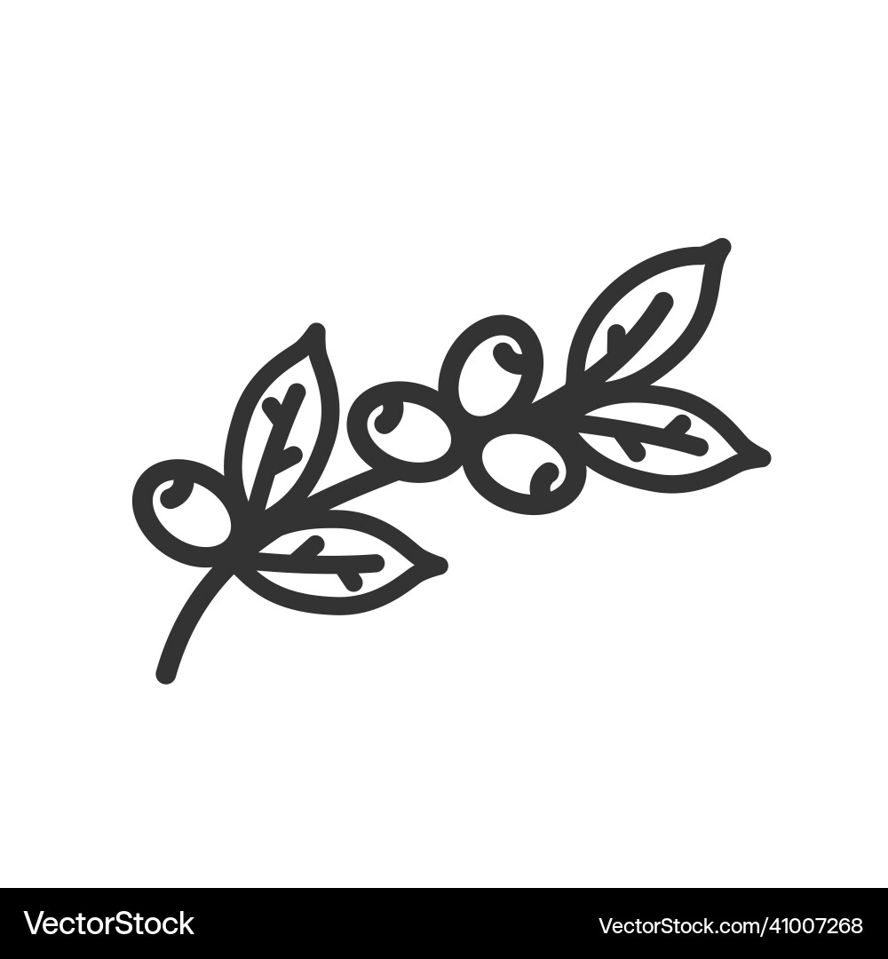 Coffee branch line icon or linear style pictograph