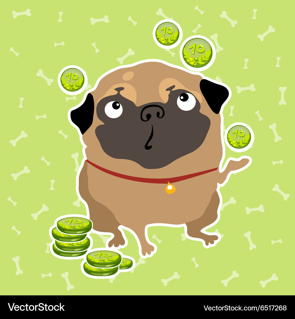 Pug dog finds money background with bones Vector Image