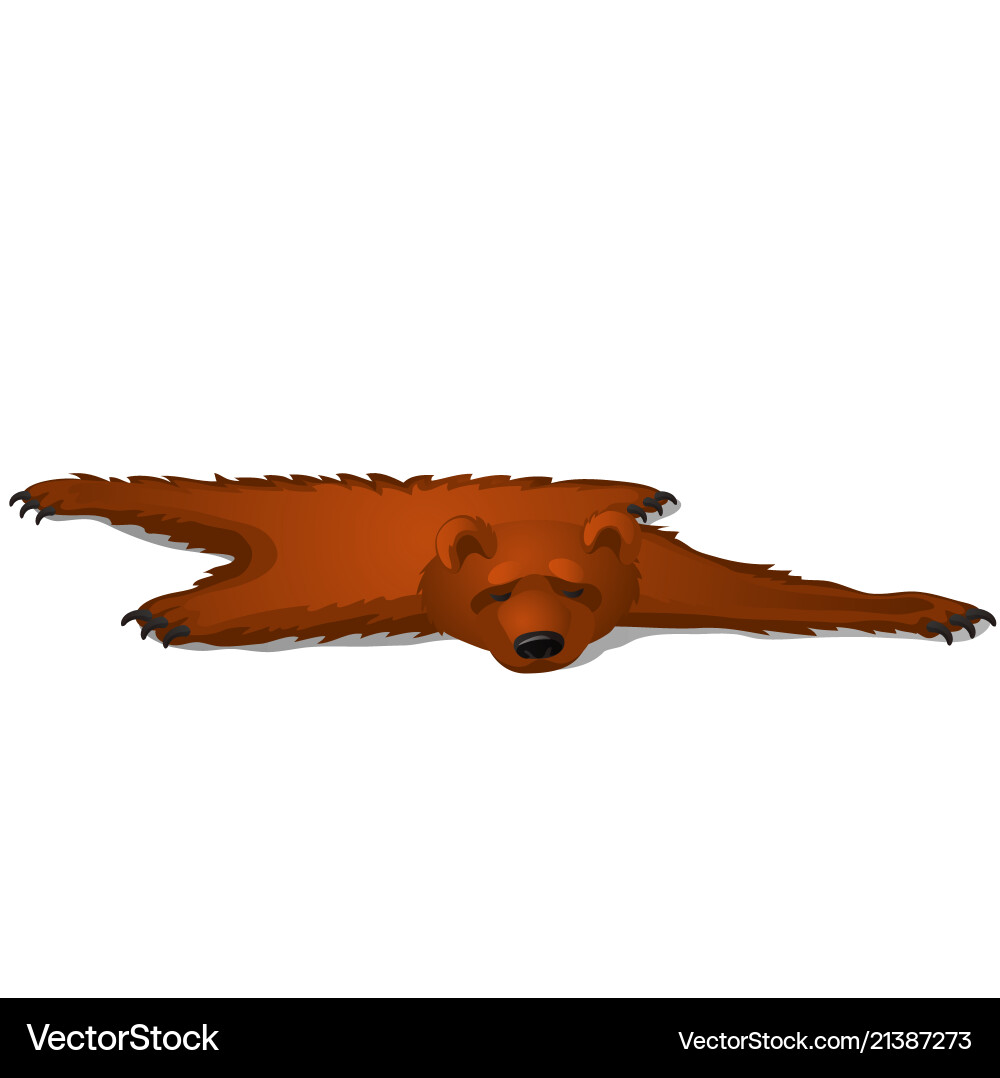 Brown bear skin isolated on white background Vector Image
