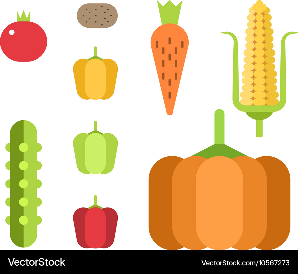 Set of fresh vegetables Flat style Royalty Free Vector Image