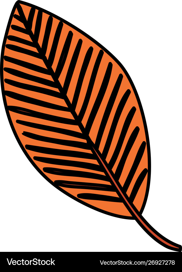 Autumn dry leaf nature icon Royalty Free Vector Image