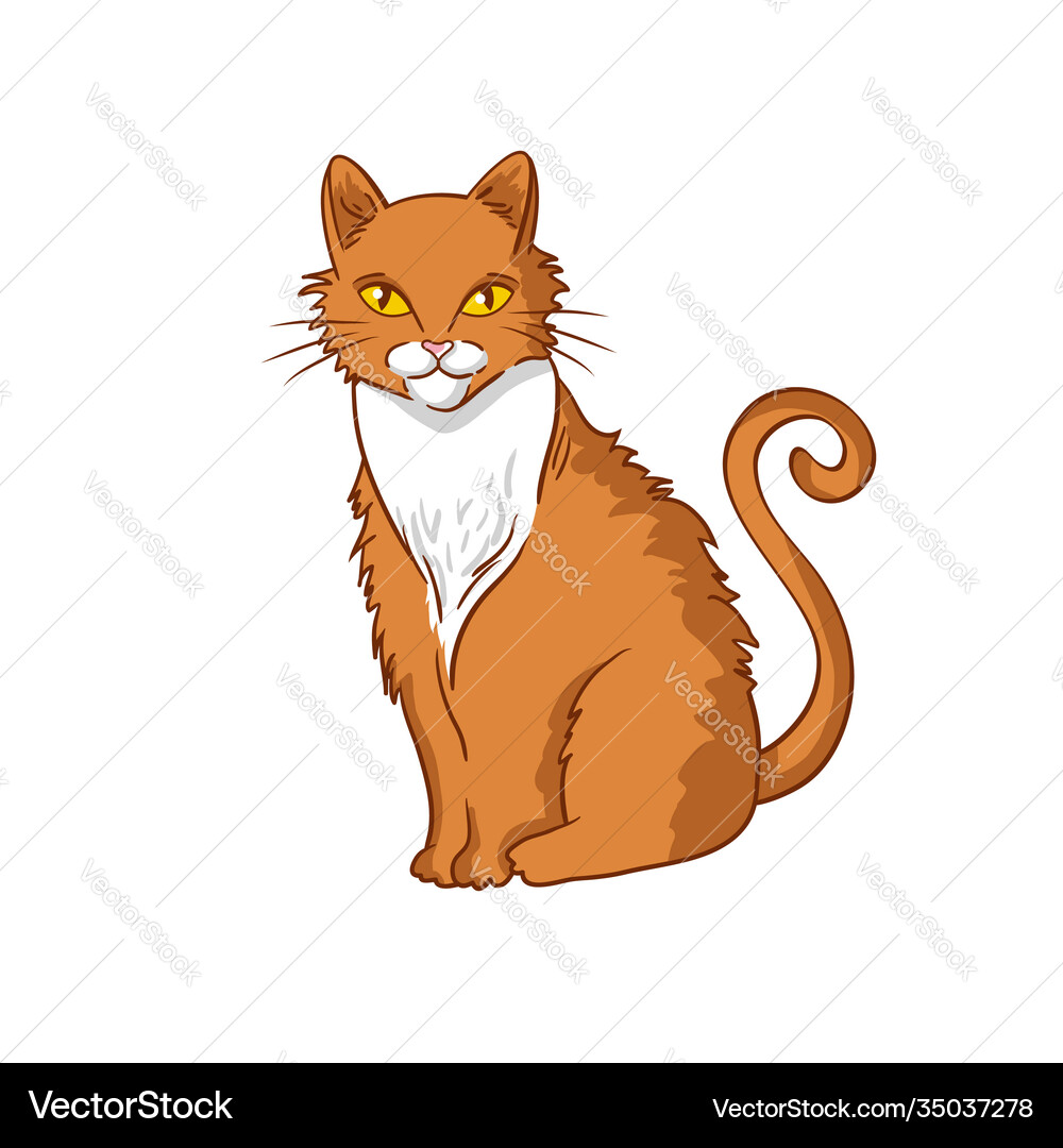 Hand-drawn red cat isolated on white background Vector Image