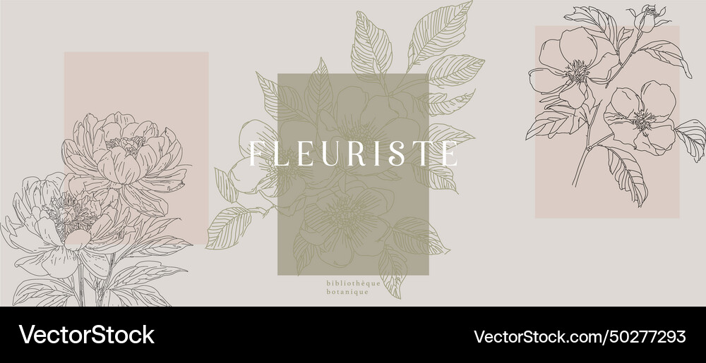 Floral header with peonies wild rose hip Vector Image