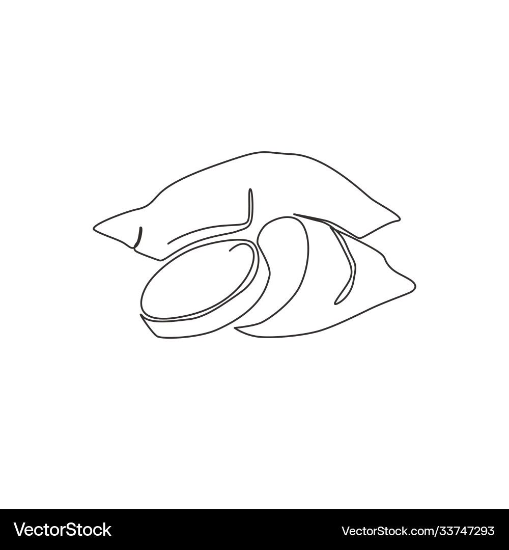 One continuous line drawing whole health Vector Image