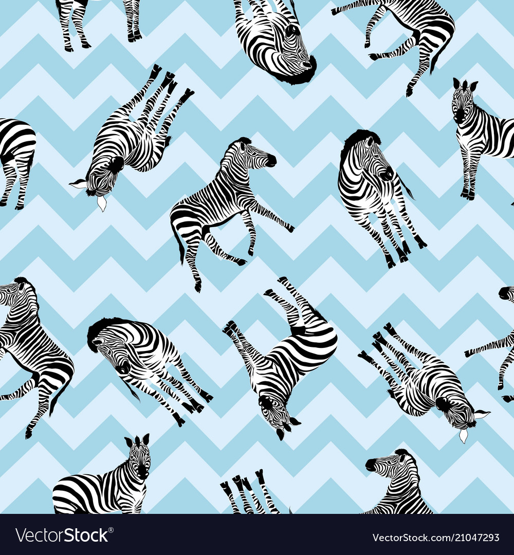 Zebra pattern animal Royalty Free Vector Image