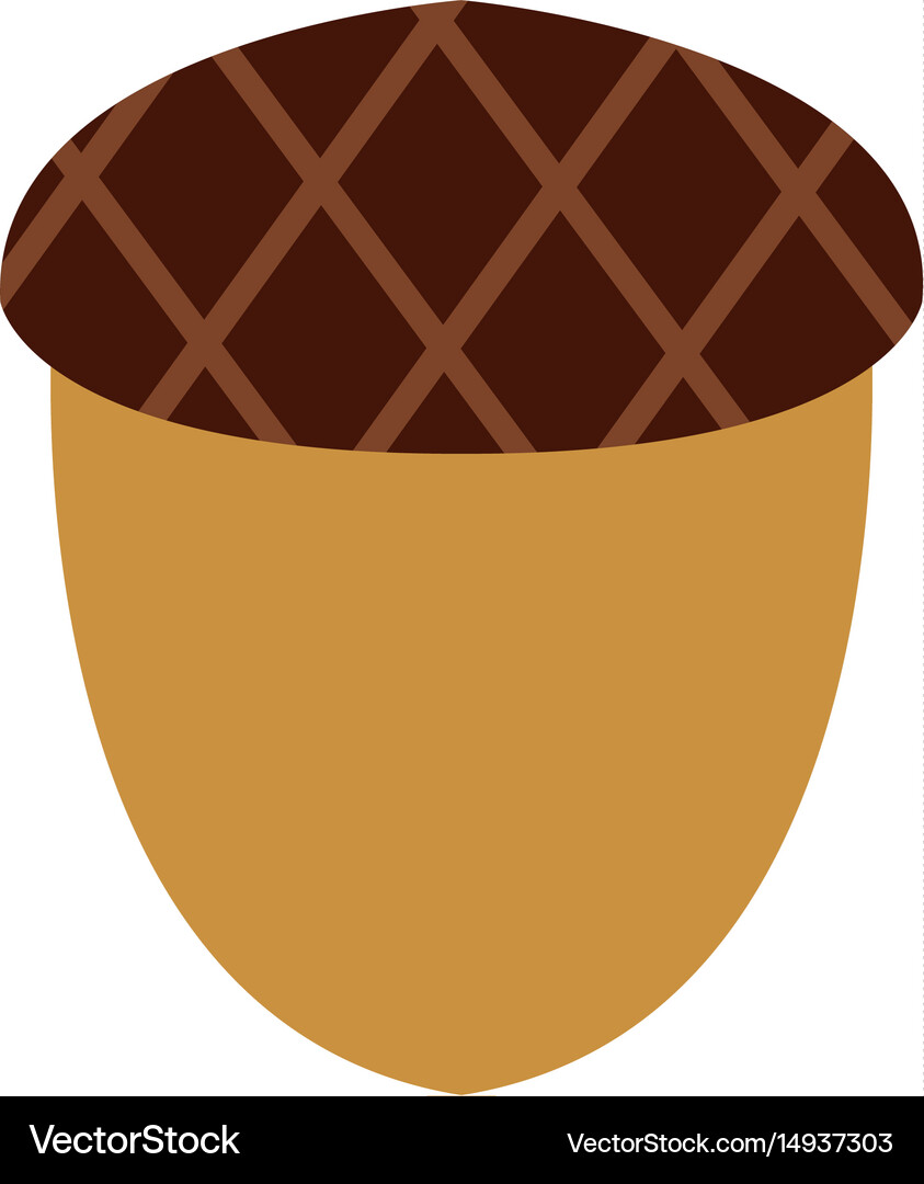 Acorn nuts nature fruit natural image Royalty Free Vector