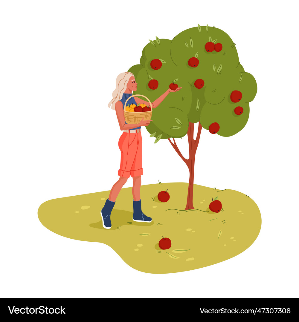 Cartoon gardener or farmer picking apple from tree