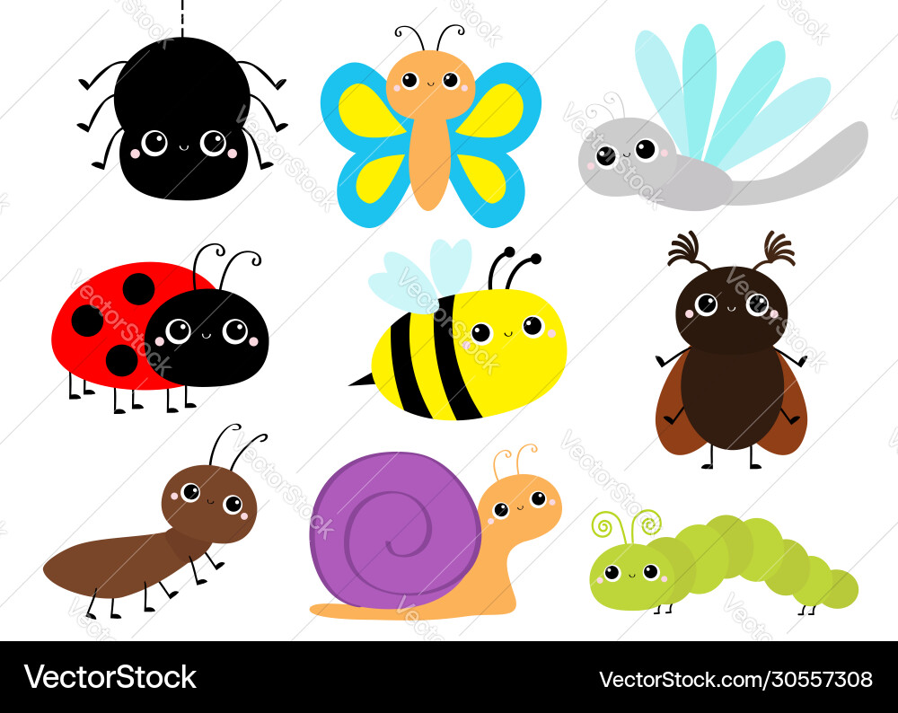 Insect set beetle ladybug ladybird dragonfly ant Vector Image