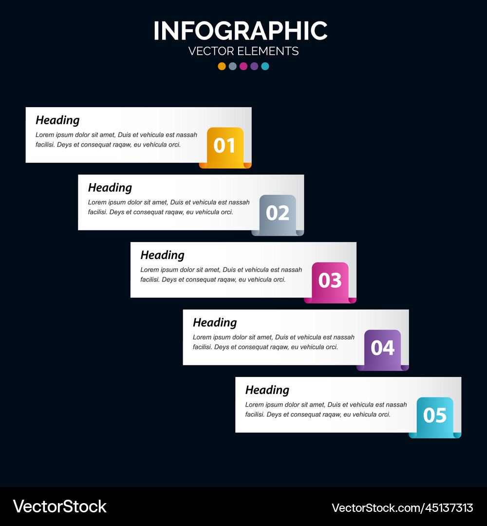 5 option infographics diagram annual report web Vector Image