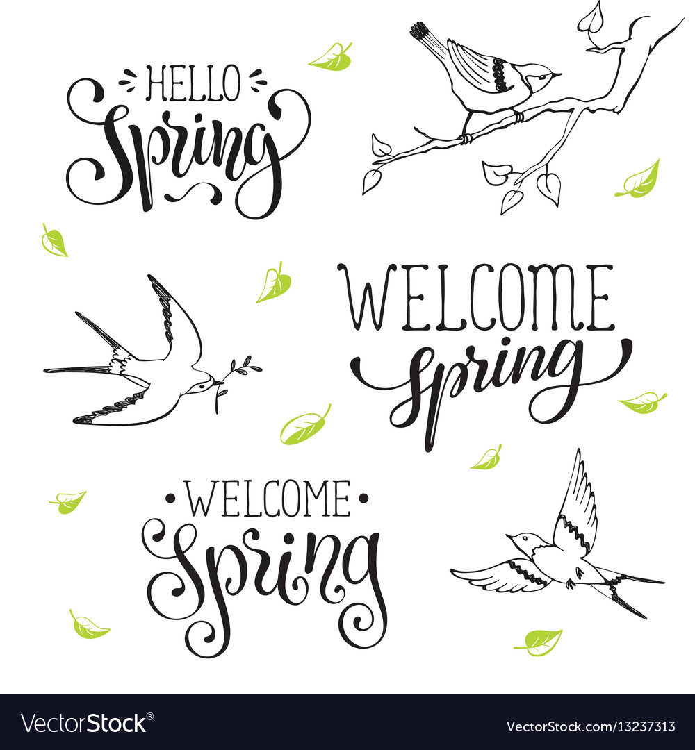 Spring time wording Royalty Free Vector Image - VectorStock