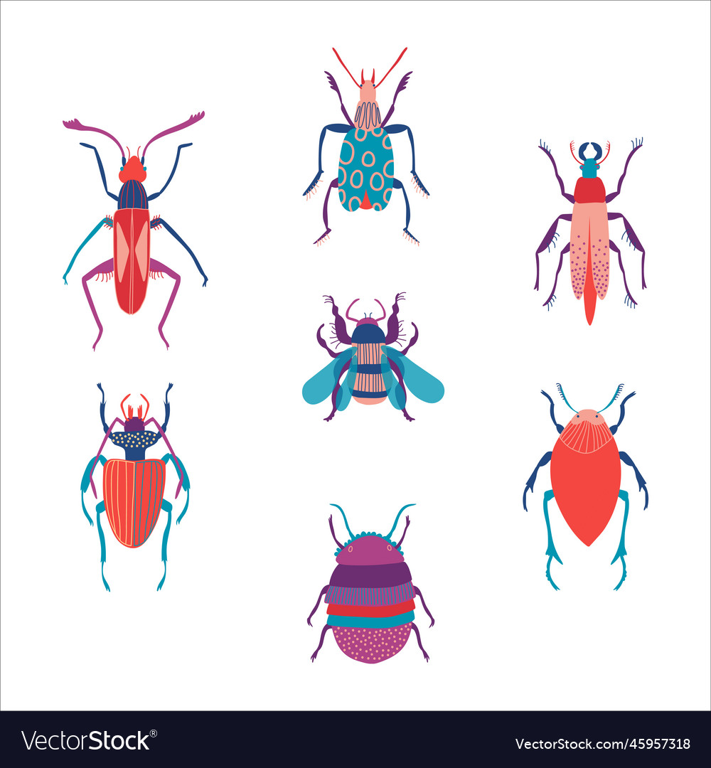 Set of cute colorful insects wild forest Vector Image