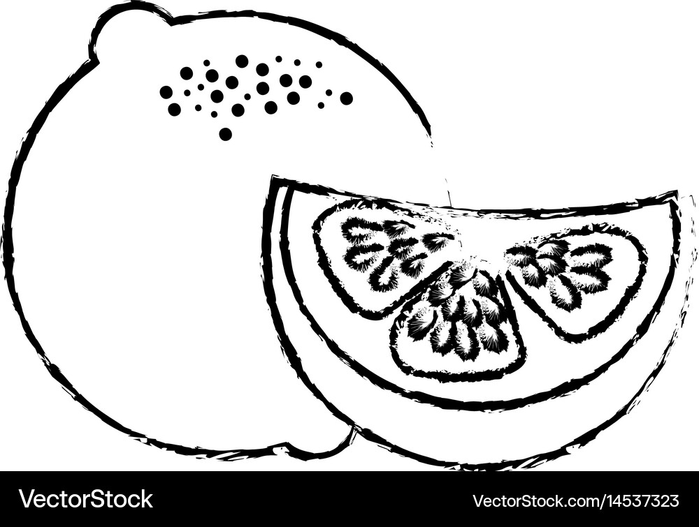 Edge fresh lemon with slice organ fruit food Vector Image