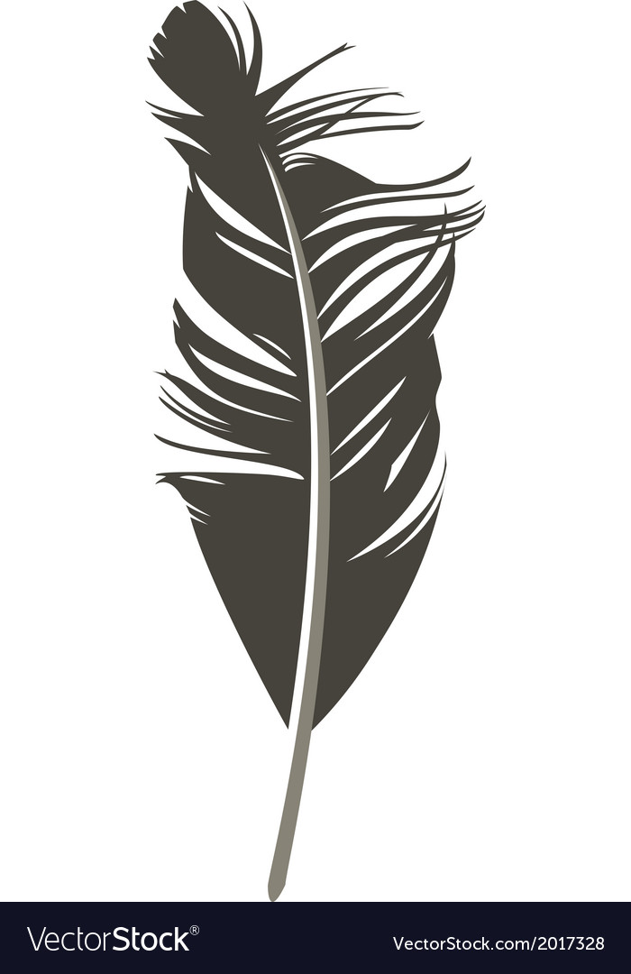 Feather Royalty Free Vector Image - VectorStock