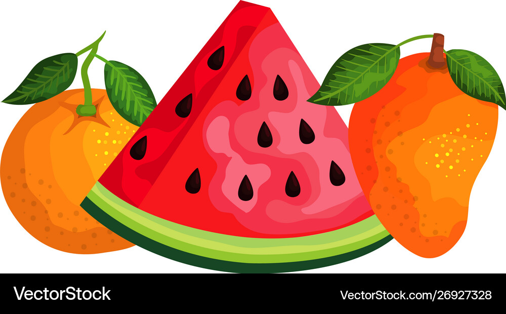 Group fresh fruits nature Royalty Free Vector Image
