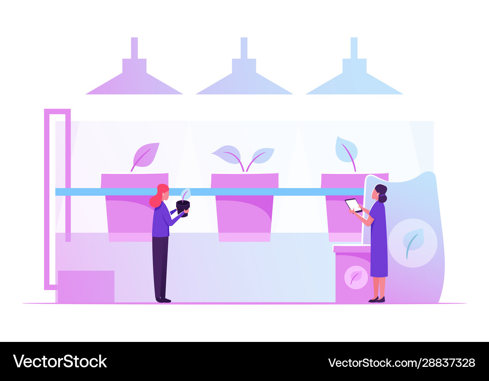 Hydroponics garden concept farmers working Vector Image