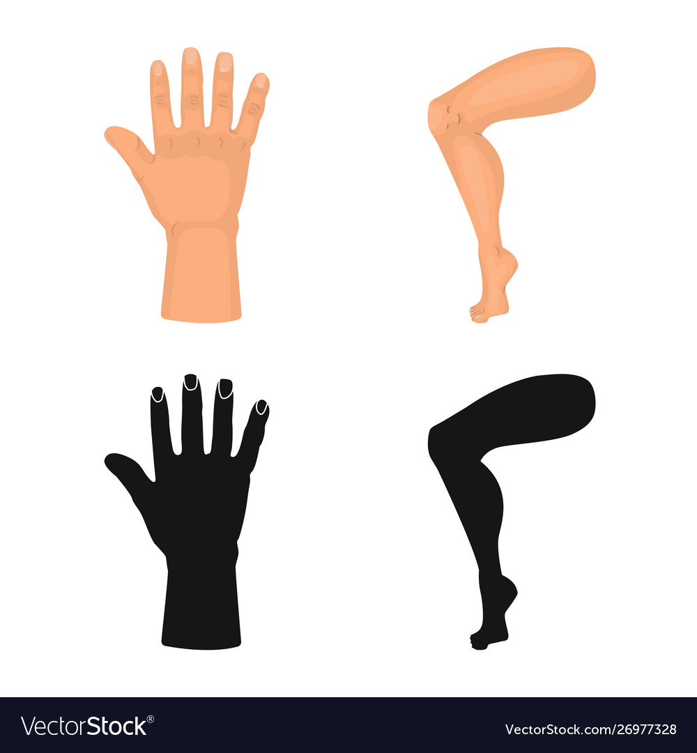 Isolated object body and part symbol Royalty Free Vector Isolated object body and part symbol Royalty Free Vector