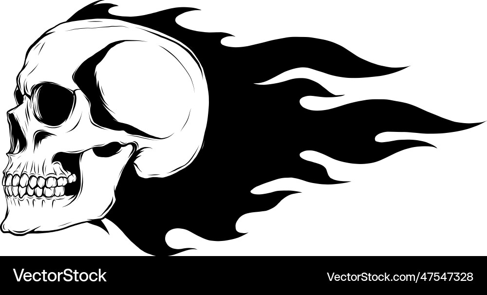 Of outline human skull design Royalty Free Vector Image