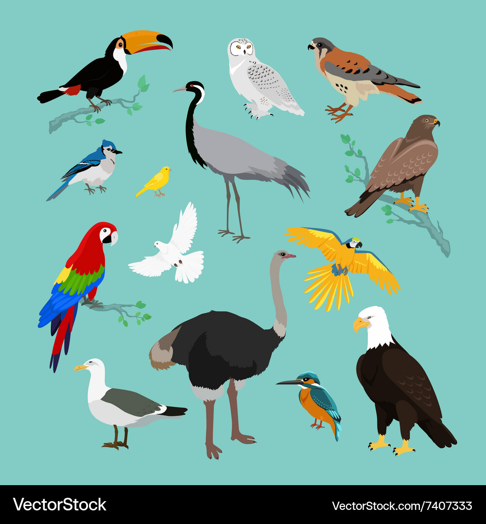 Collection of various birds flat design Royalty Free Vector