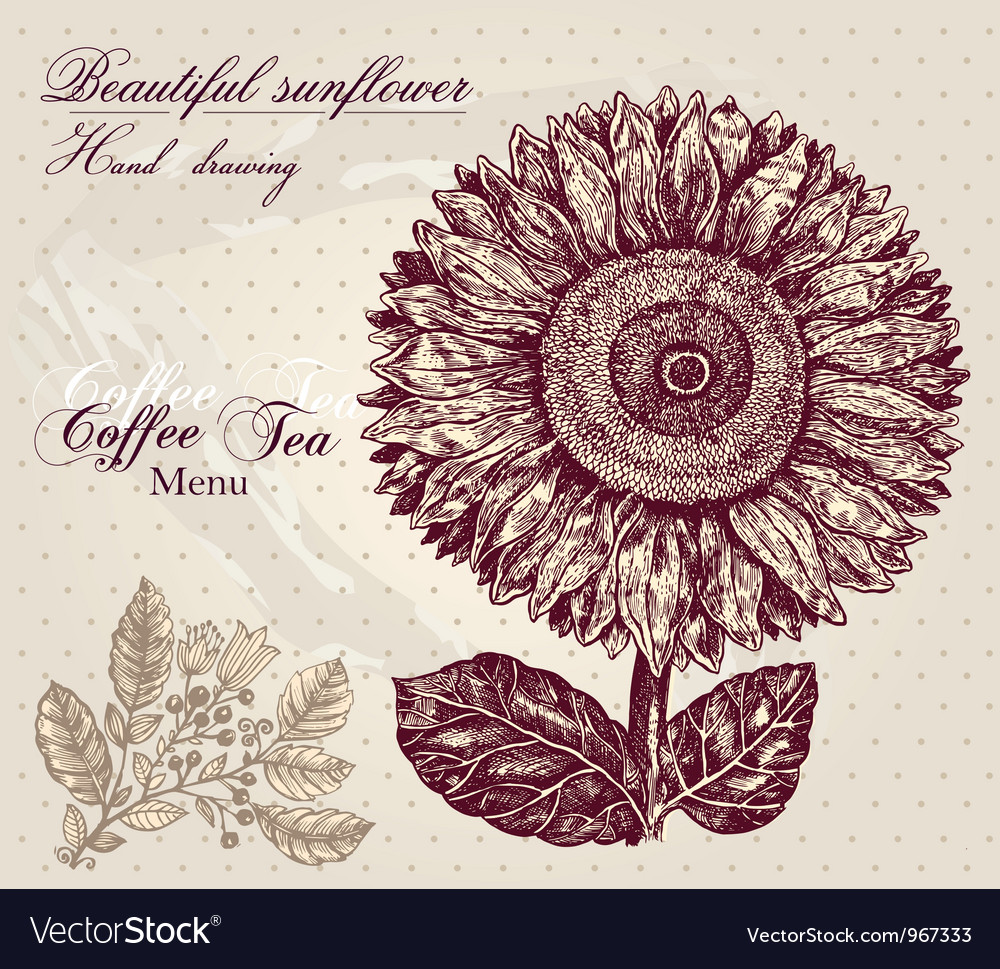 Sunflower background Royalty Free Vector Image