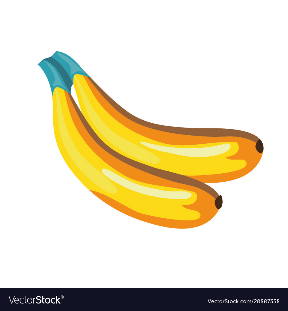Fresh banana fruit isolated icon Royalty Free Vector Image