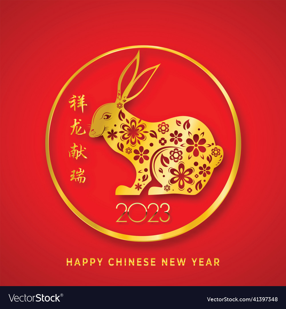 Happy chinese new year 2023 rabbit zodiac sign Vector Image