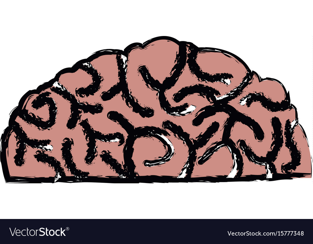 Human brain idea creativity thinking memory image Vector Image