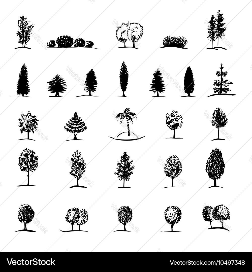 Set of hand drawn sketch trees Royalty Free Vector Image