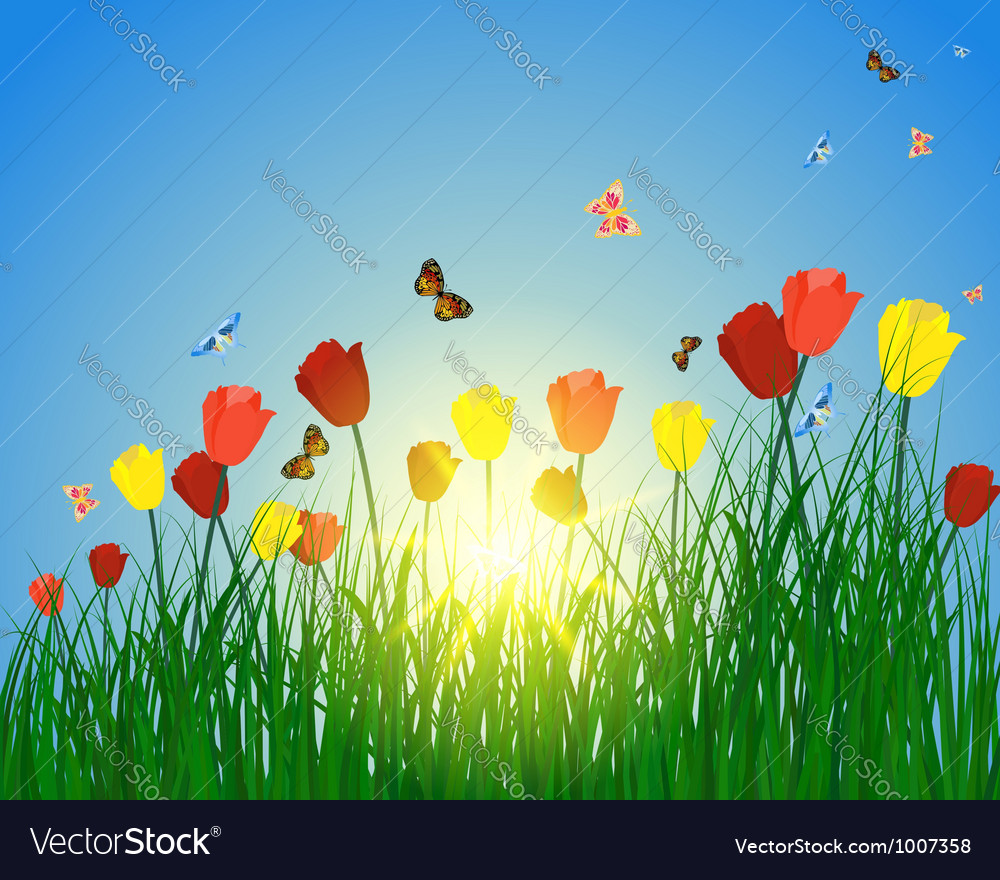 Meadow Royalty Free Vector Image - VectorStock