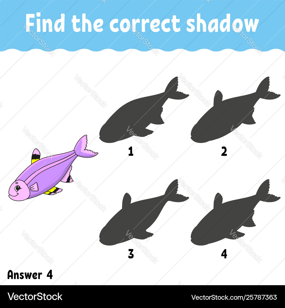 Find correct shadow draw a line education Vector Image