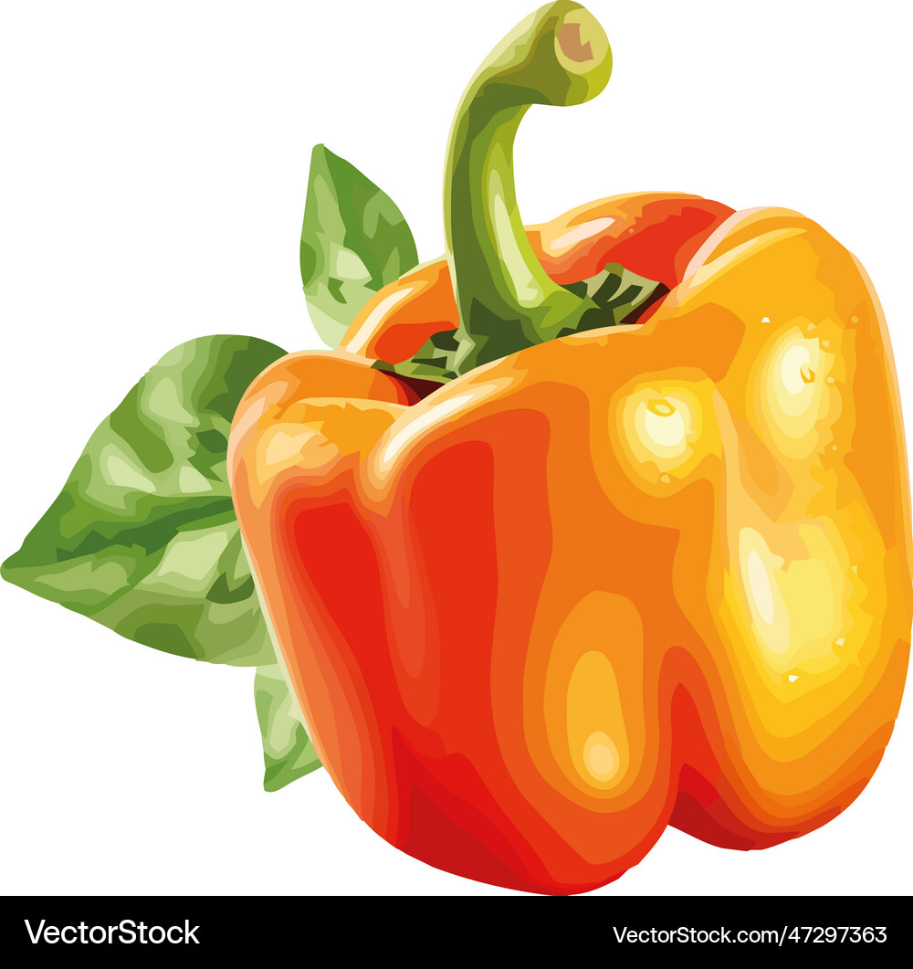 Fresh bell pepper ripe and healthy Royalty Free Vector Image