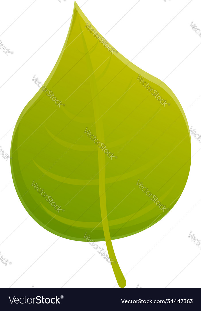 Green tree leaf icon cartoon style Royalty Free Vector Image Green tree leaf icon cartoon style Royalty Free Vector Image