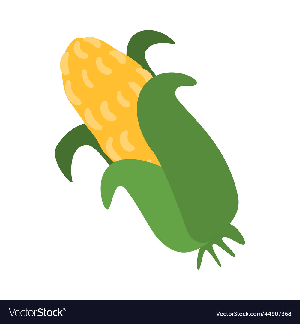 Corn flat Royalty Free Vector Image - VectorStock