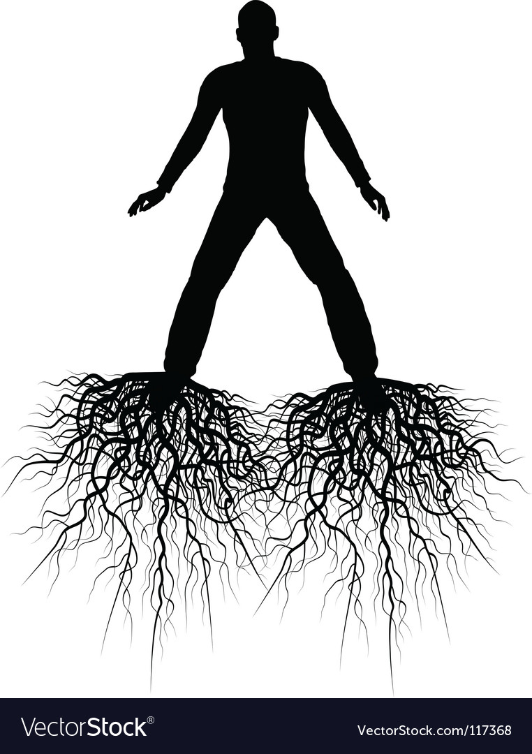 Roots Royalty Free Vector Image - VectorStock