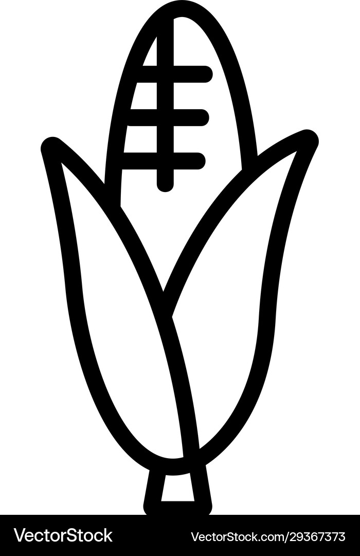 Corn food icon isolated contour symbol Royalty Free Vector