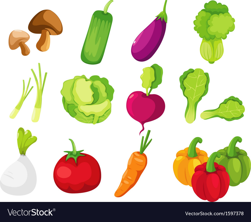 Collection vegetables Royalty Free Vector Image