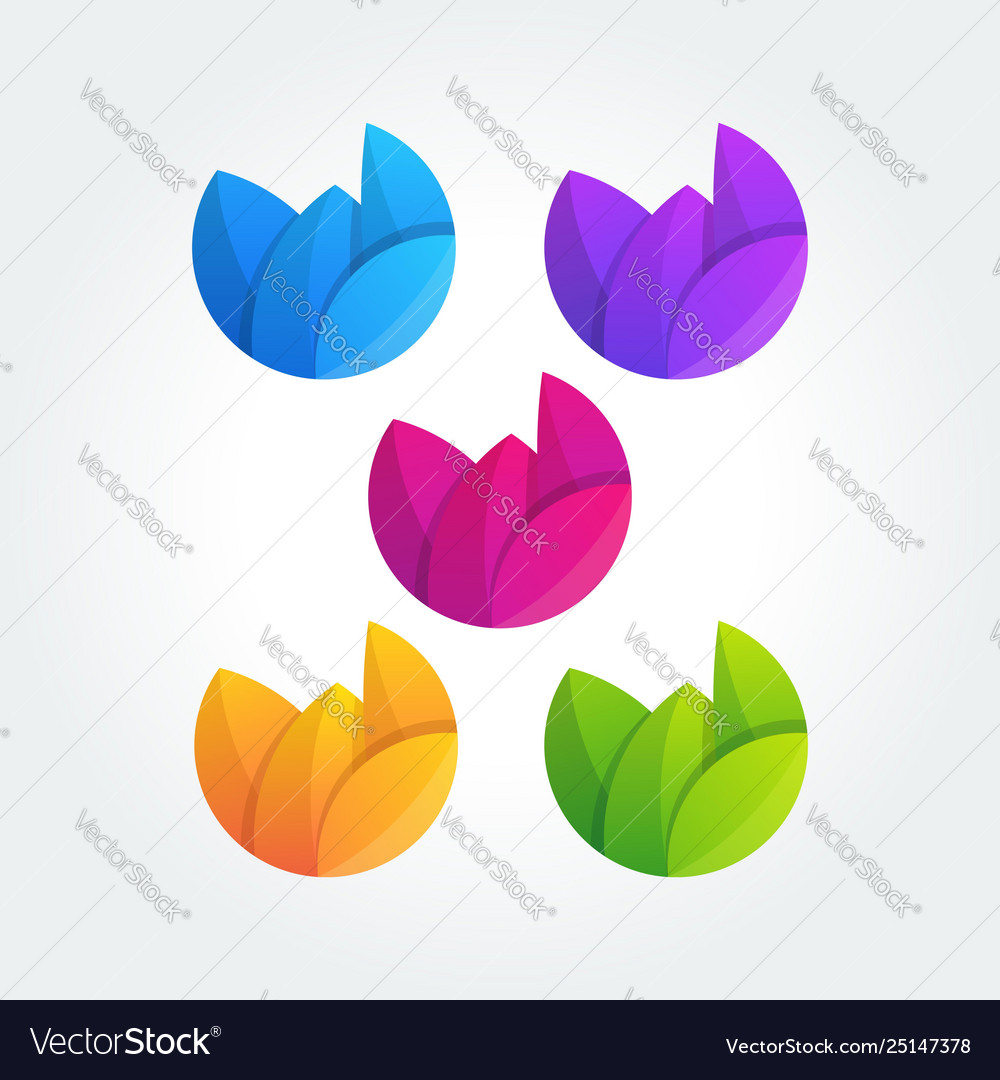 Leaf design elements template Royalty Free Vector Image